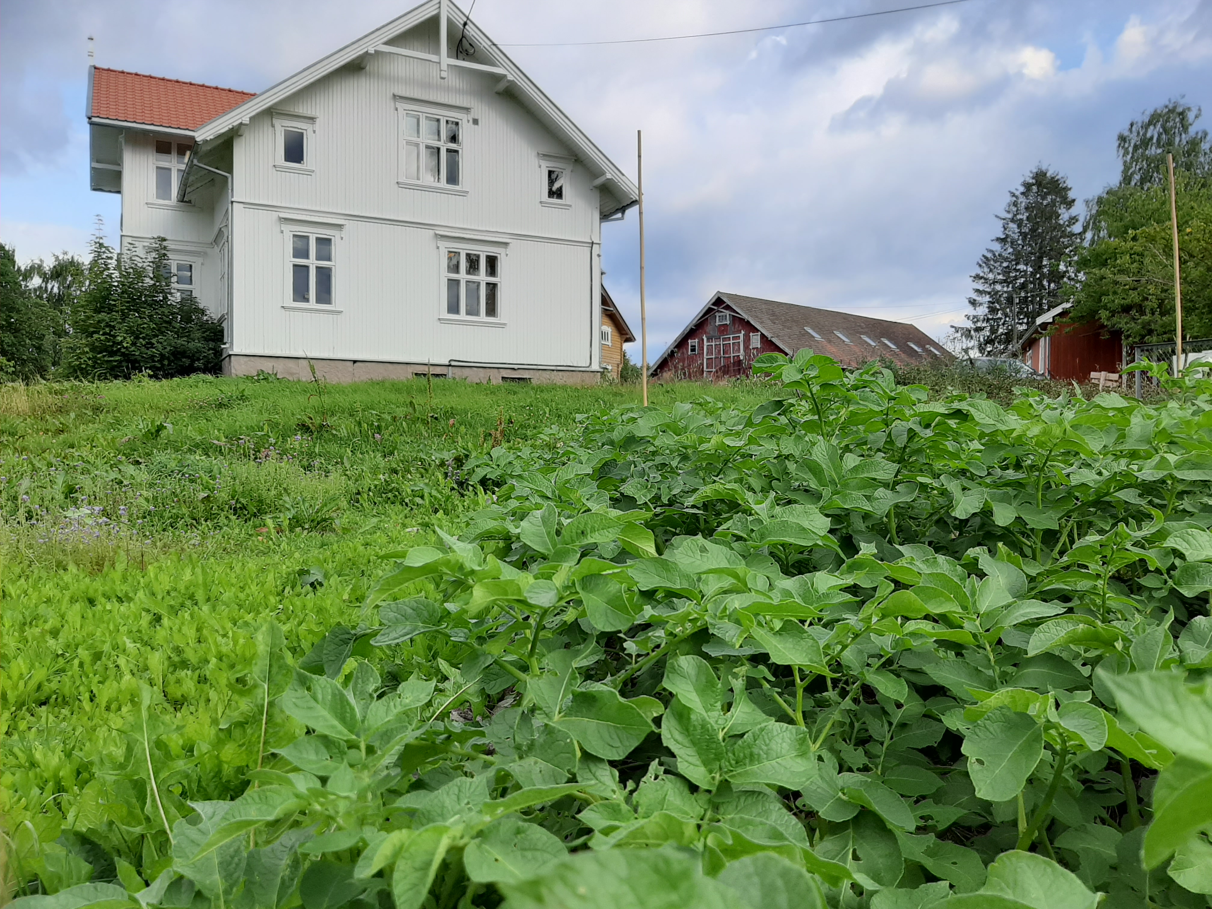 Stovner videregående skole