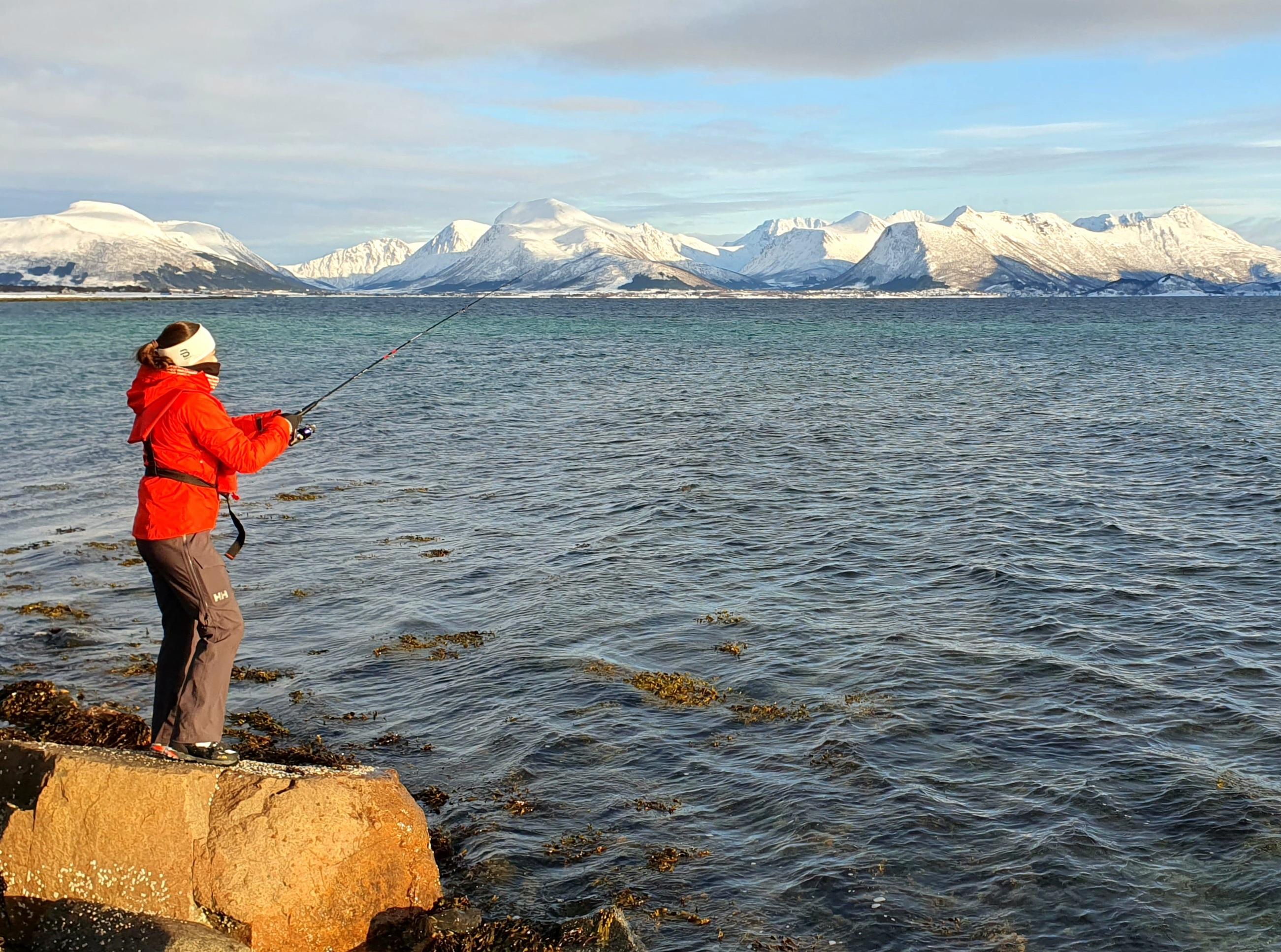 Stovner videregående skole